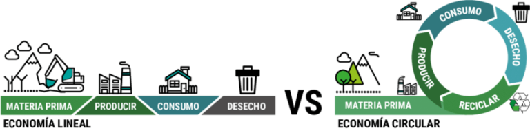 Economía Circular vs. Economía Lineal: Comprendiendo el Futuro Sostenible | Waste Cero